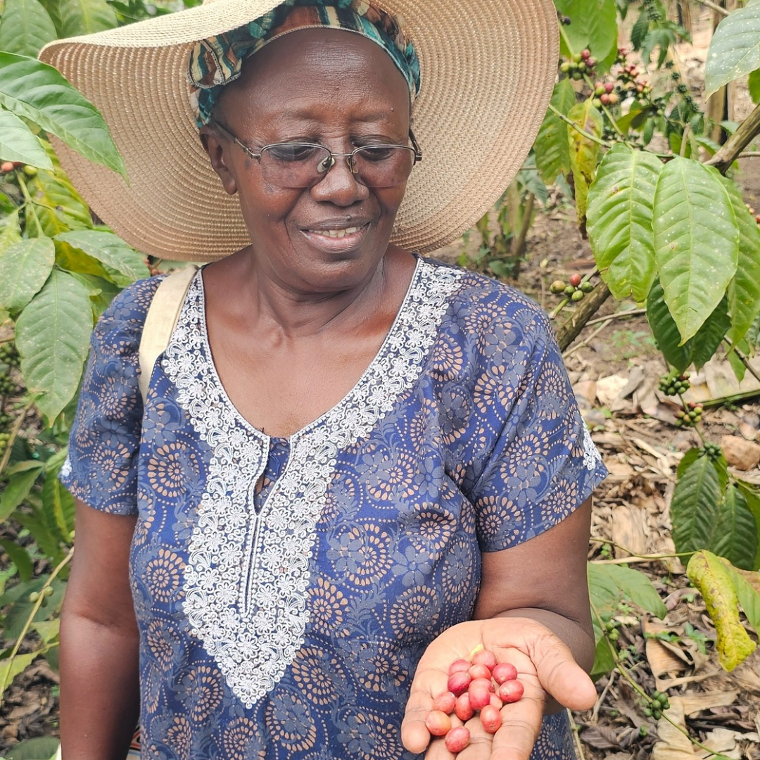 VAT-exempt items (packaged coffee) – Kickstart coffee